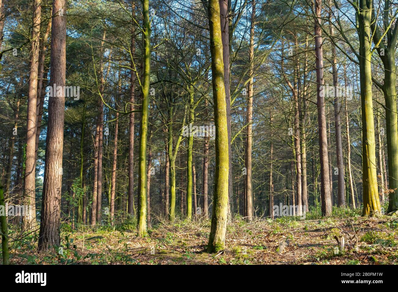 Otley council hi-res stock photography and images - Alamy
