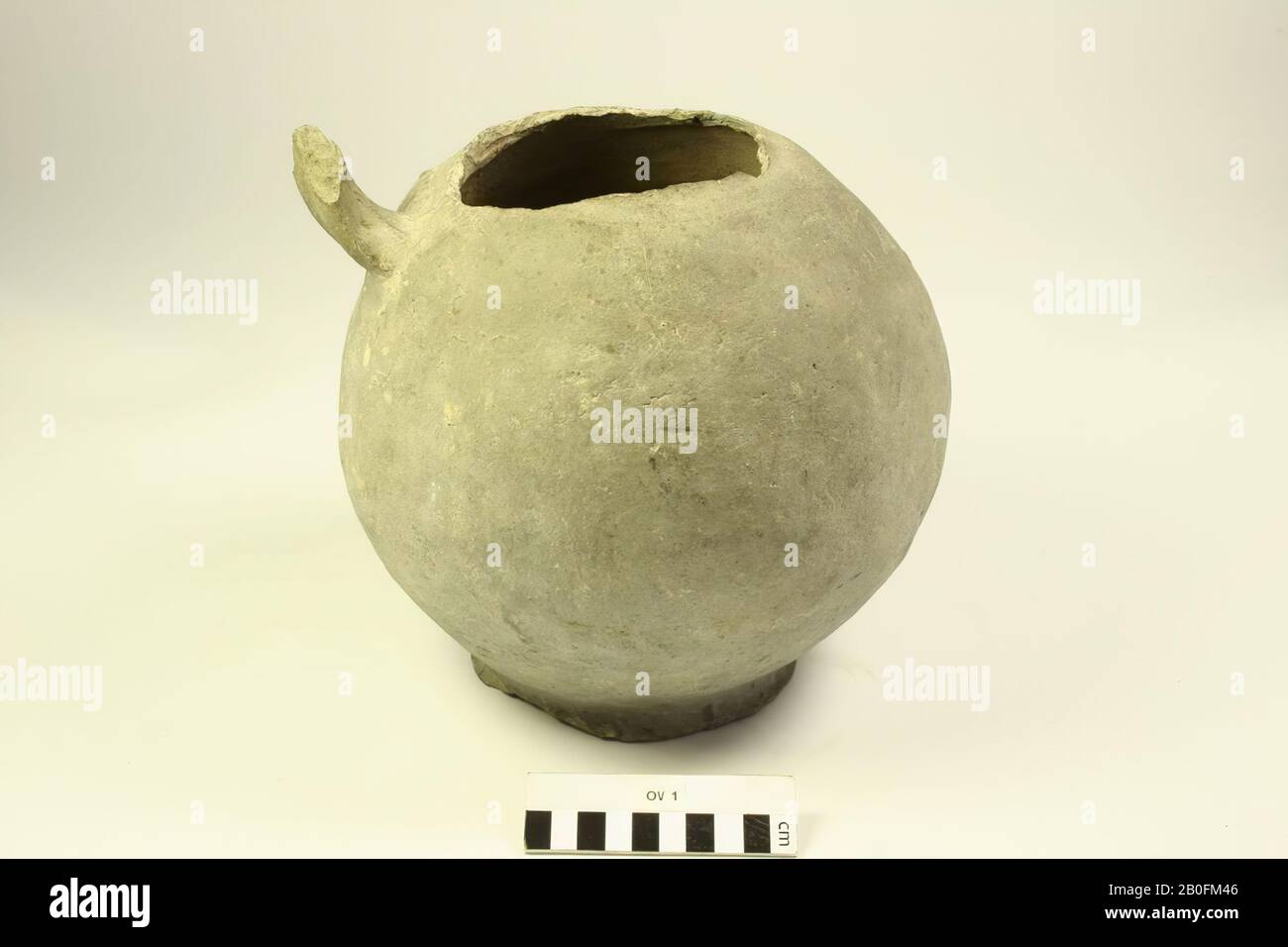 Chip in ear hi-res stock photography and images - Alamy