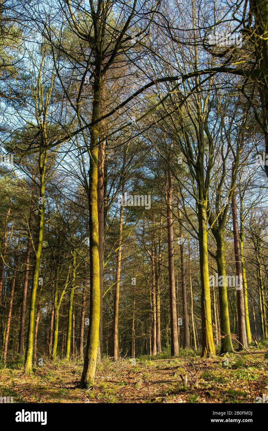 Otley council hi-res stock photography and images - Alamy