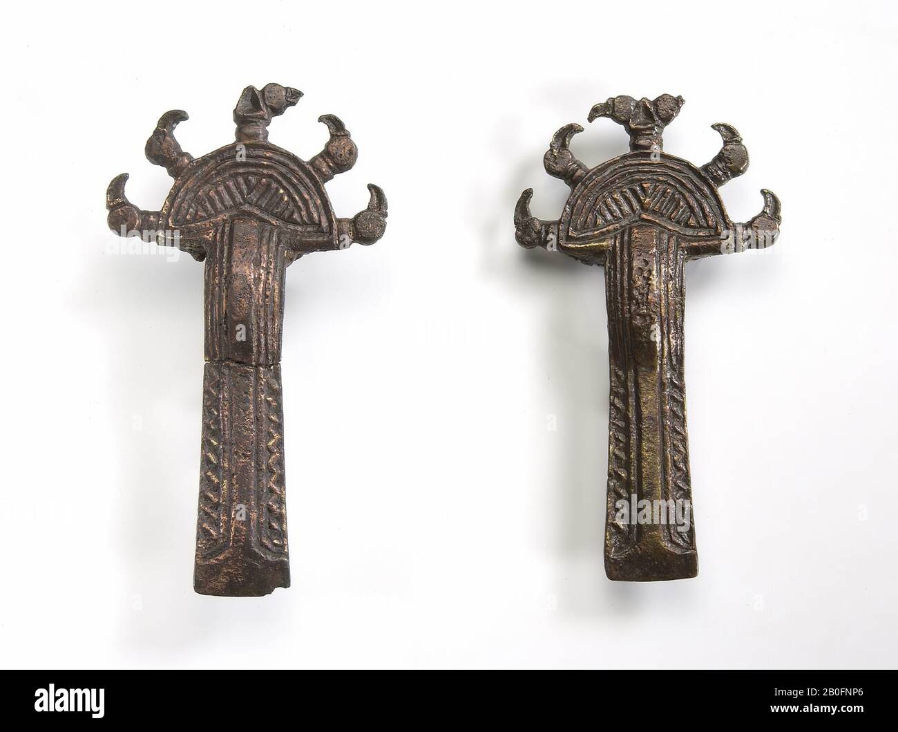 Brachial fibula hi-res stock photography and images - Alamy