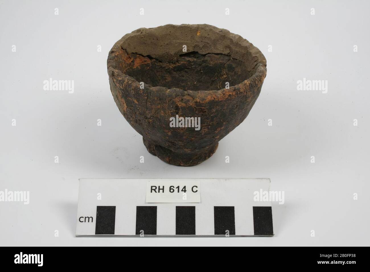 Prehistoric foot cup hi-res stock photography and images - Alamy