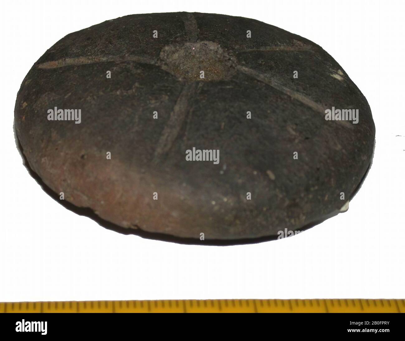 Radial lines hi-res stock photography and images - Alamy