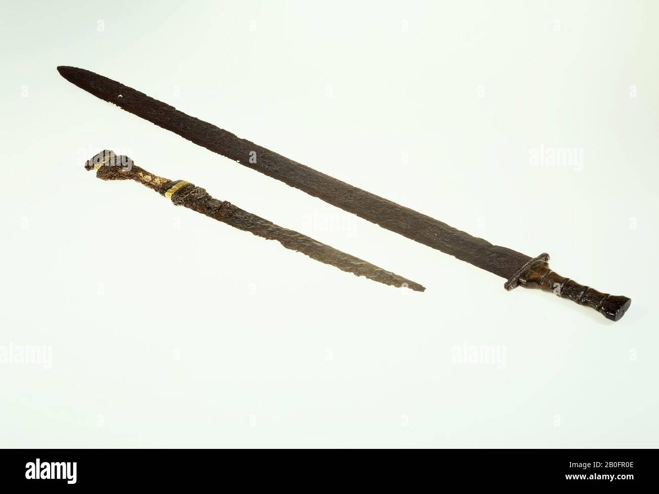 Legs upholstery preserved hi-res stock photography and images - Alamy