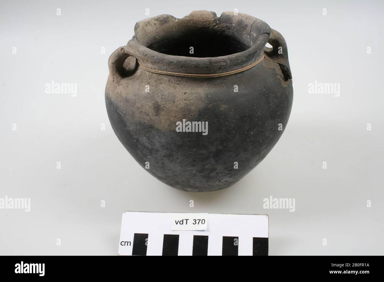 Ears vertical cracks up hi-res stock photography and images - Alamy