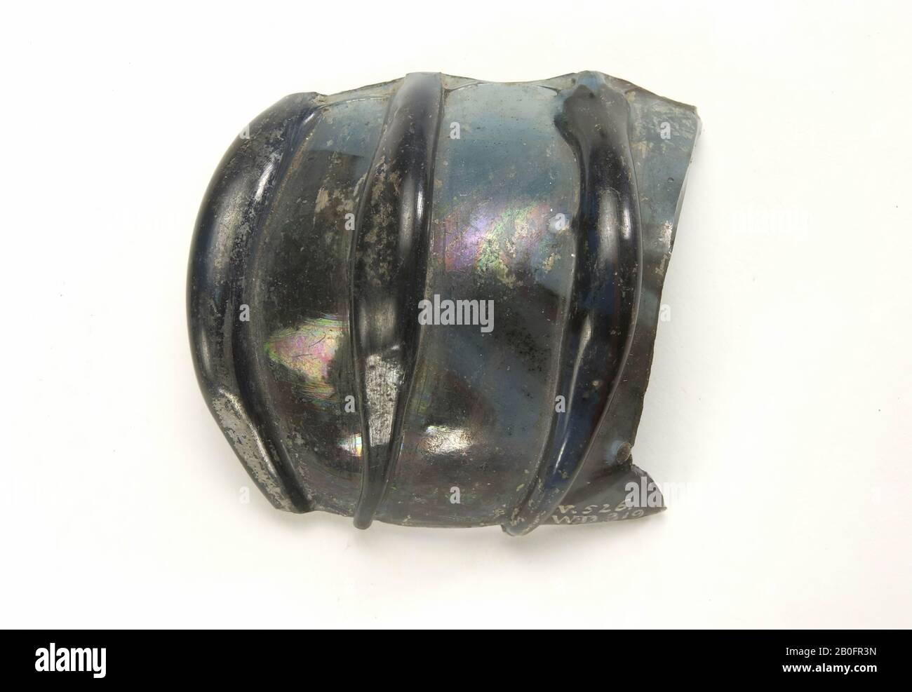 Ribs fragment hi-res stock photography and images - Alamy