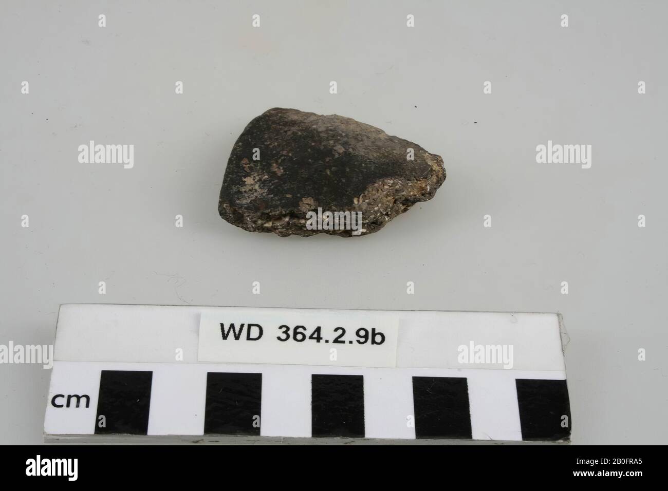 Shell grit ring hi-res stock photography and images - Alamy