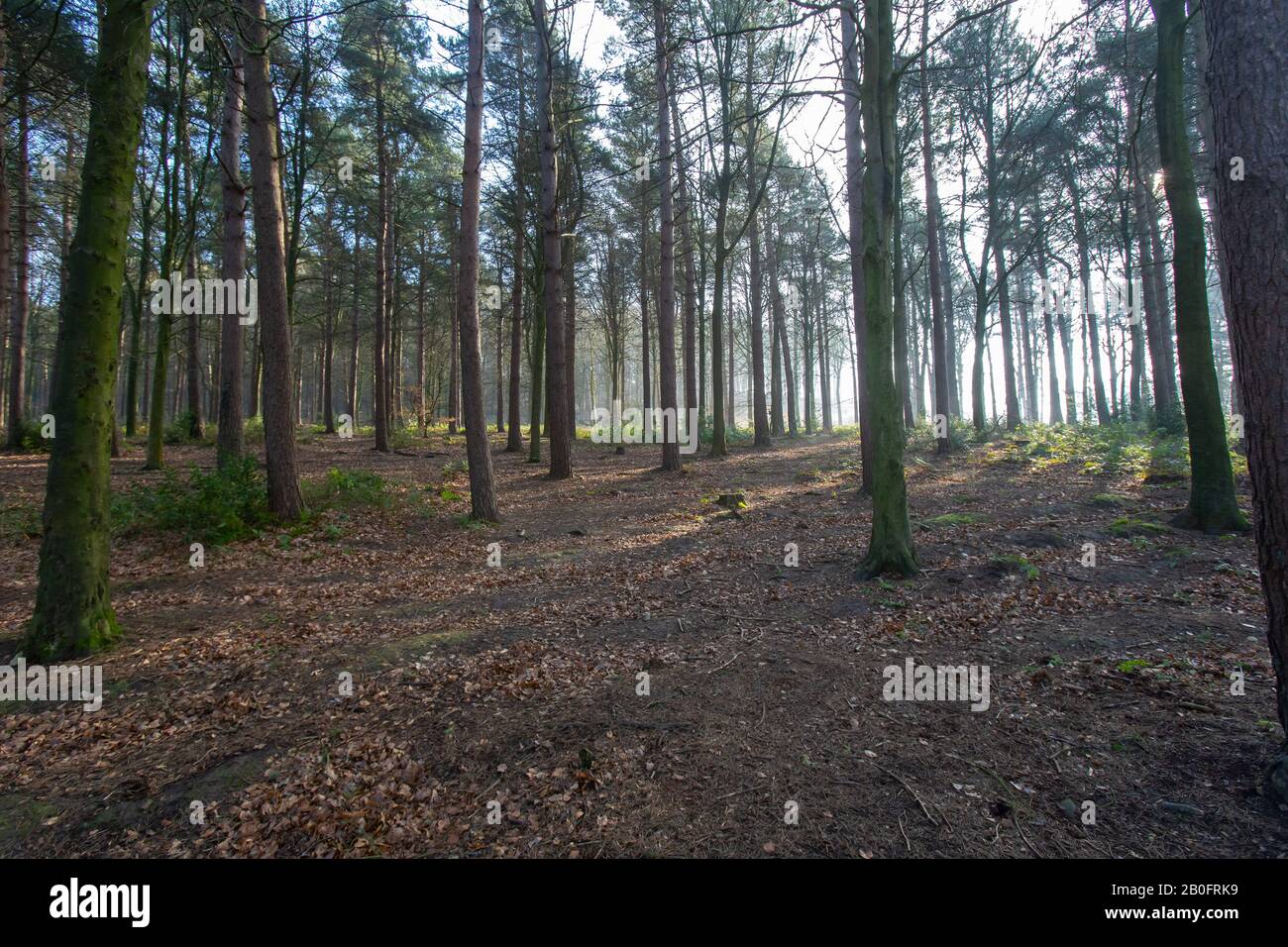 Otley council hi-res stock photography and images - Alamy