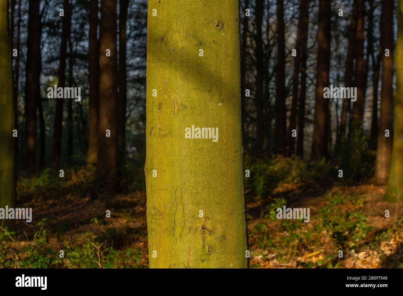 Otley council hi-res stock photography and images - Alamy