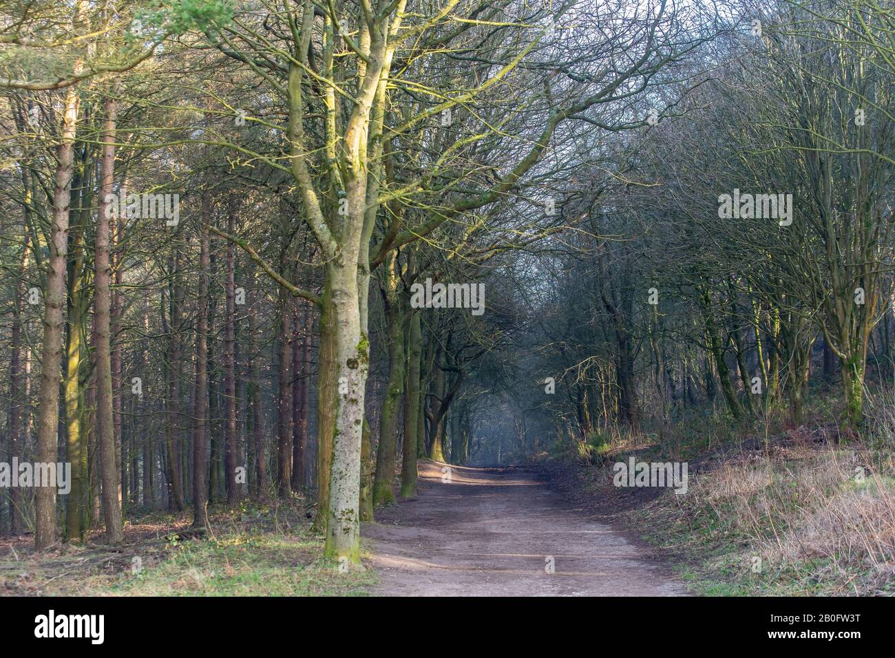 Otley council hi-res stock photography and images - Alamy