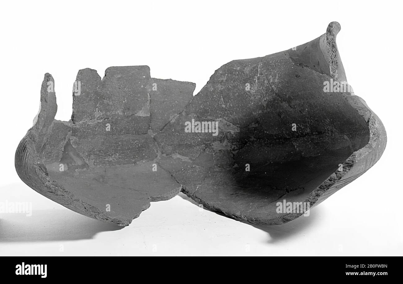 Intersecting ribs hi-res stock photography and images - Alamy