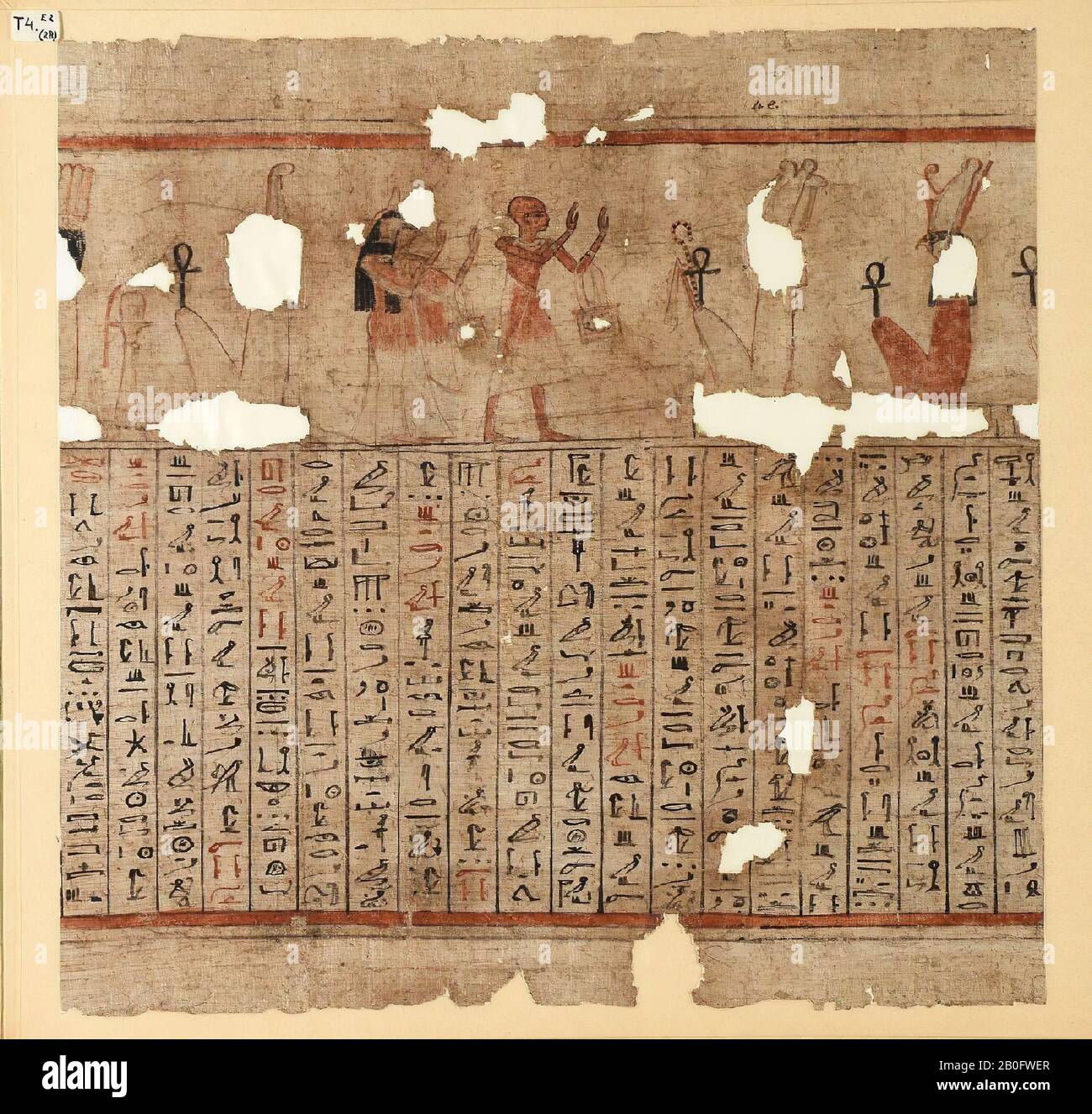 Papyrus 3 hi-res stock photography and images - Alamy