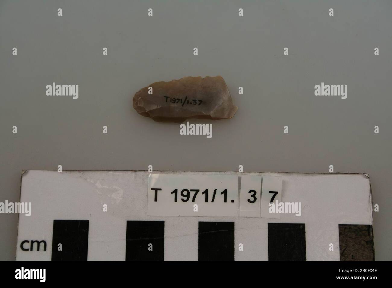 Flint tool, tool, stone, flint, 3.1 x 1.2 x 0.3 cm, prehistoric ...