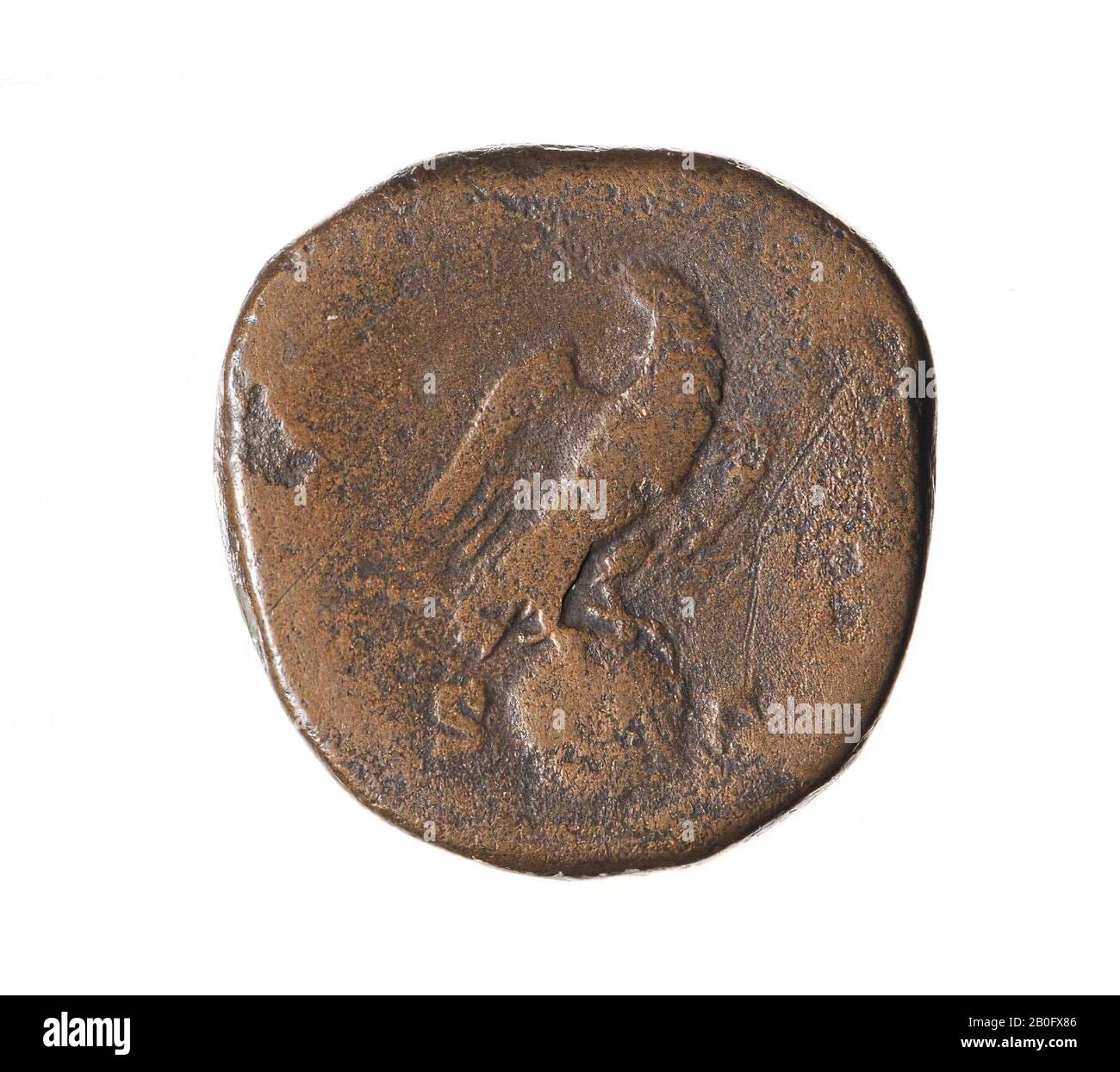 N eagle Cut Out Stock Images & Pictures - Alamy