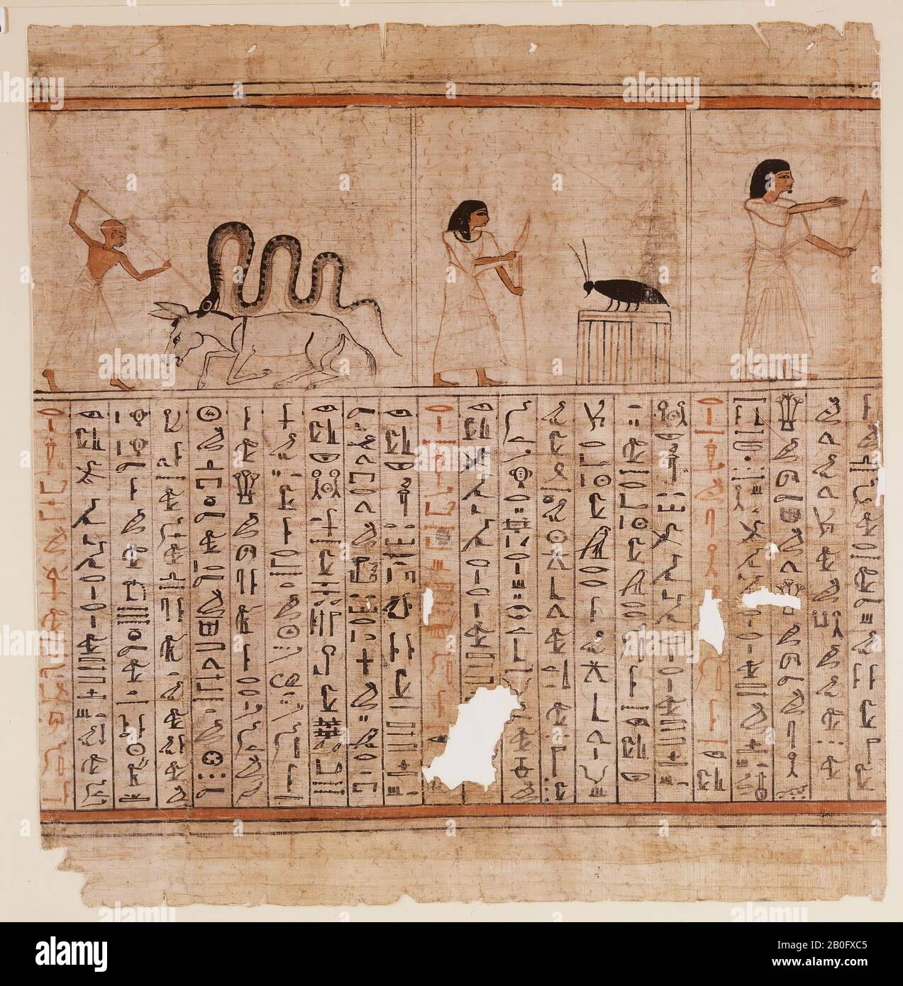 39 x 43 cm hi-res stock photography and images - Alamy