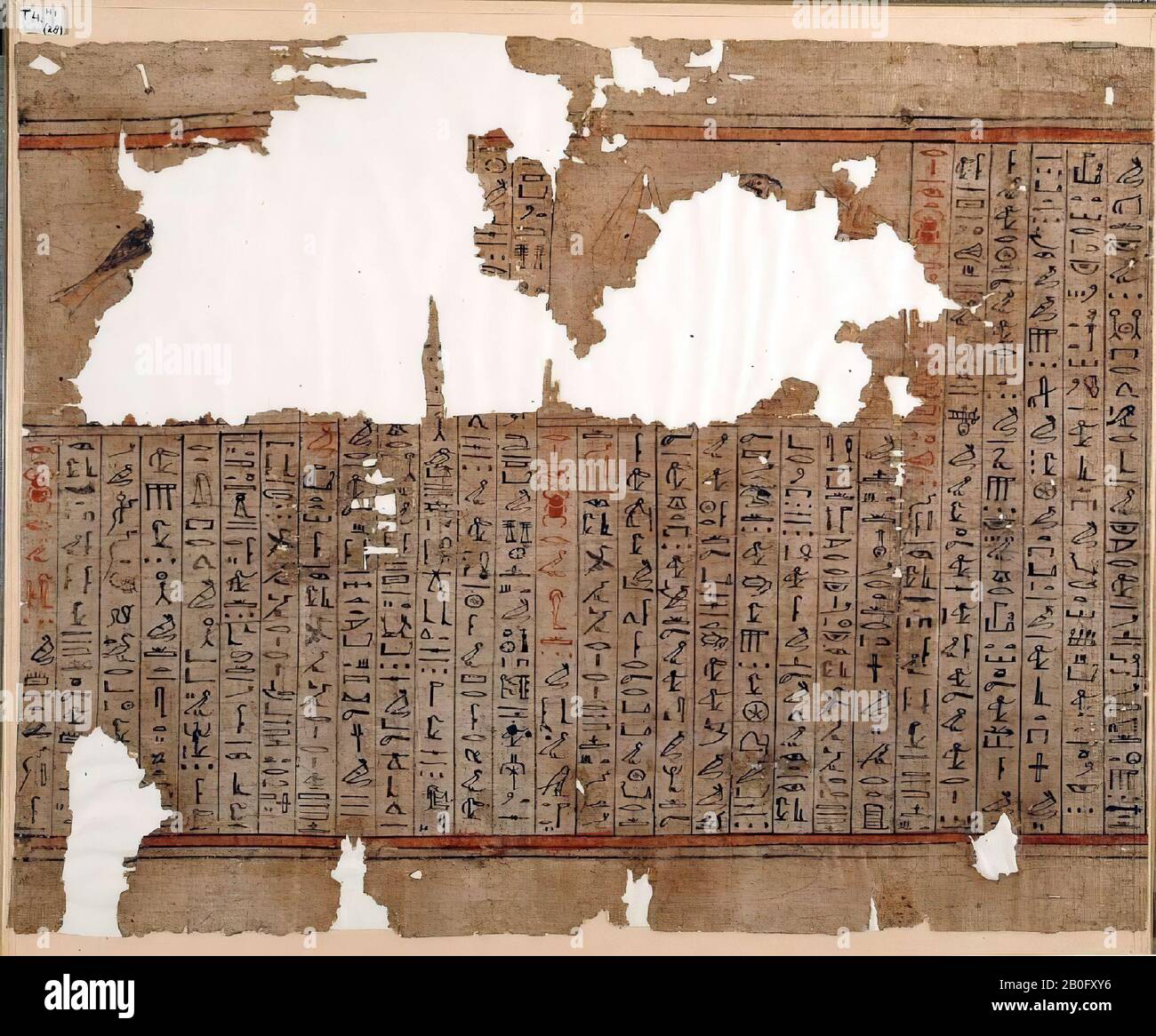 49 cm x 39 cm hi-res stock photography and images - Alamy