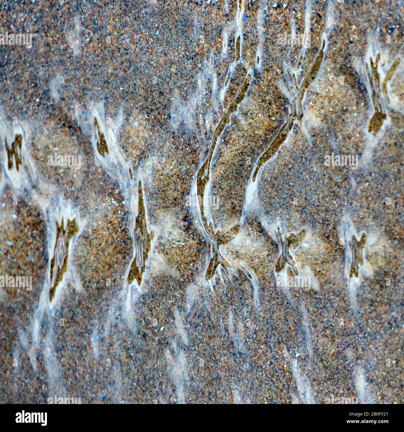 Beach soft sand rippled texture hi-res stock photography and images - Alamy