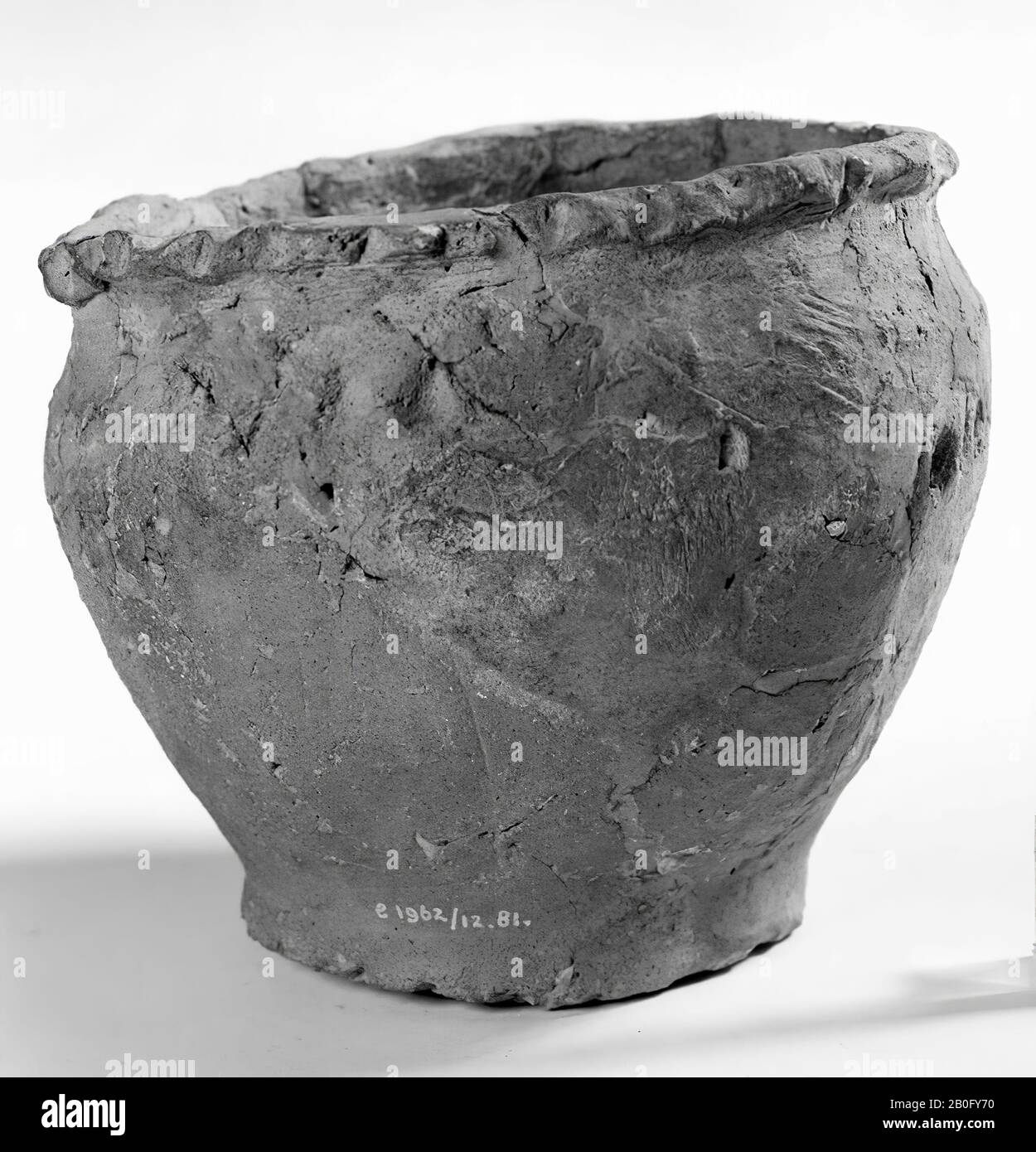 Lateral edge serration hi-res stock photography and images - Alamy