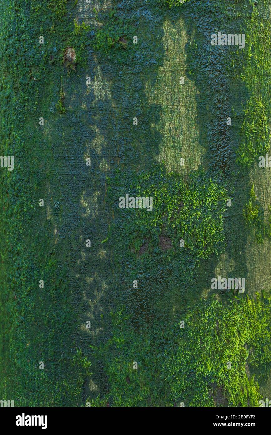 Moisty hi-res stock photography and images - Alamy