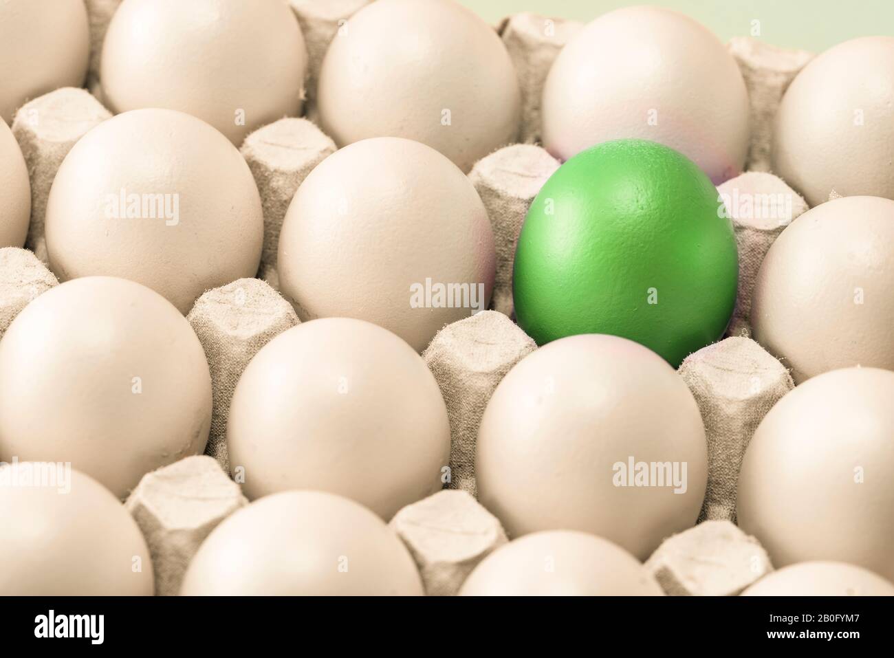 many white eggs laid in straight rows in the egg cell, and one green ...