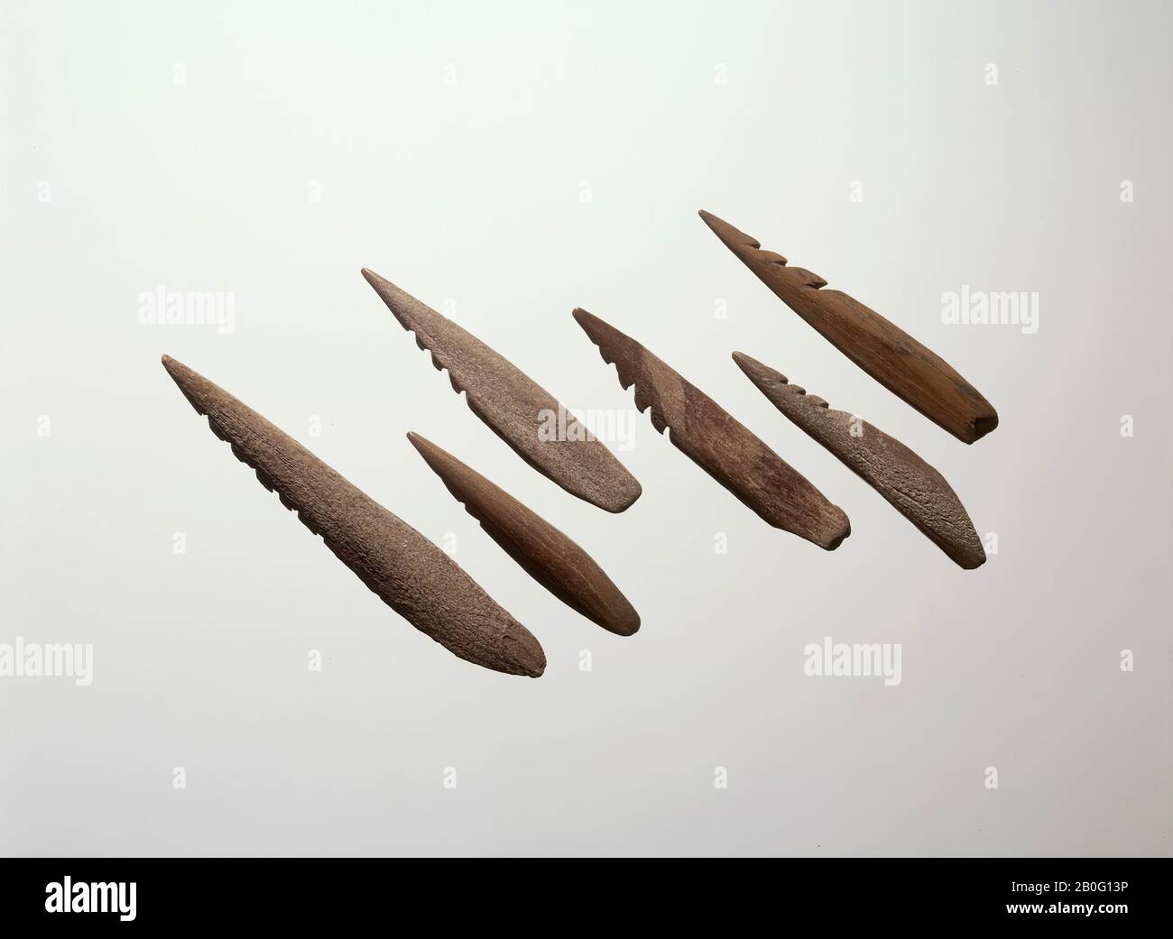 Longitudinal cutting hi-res stock photography and images - Alamy