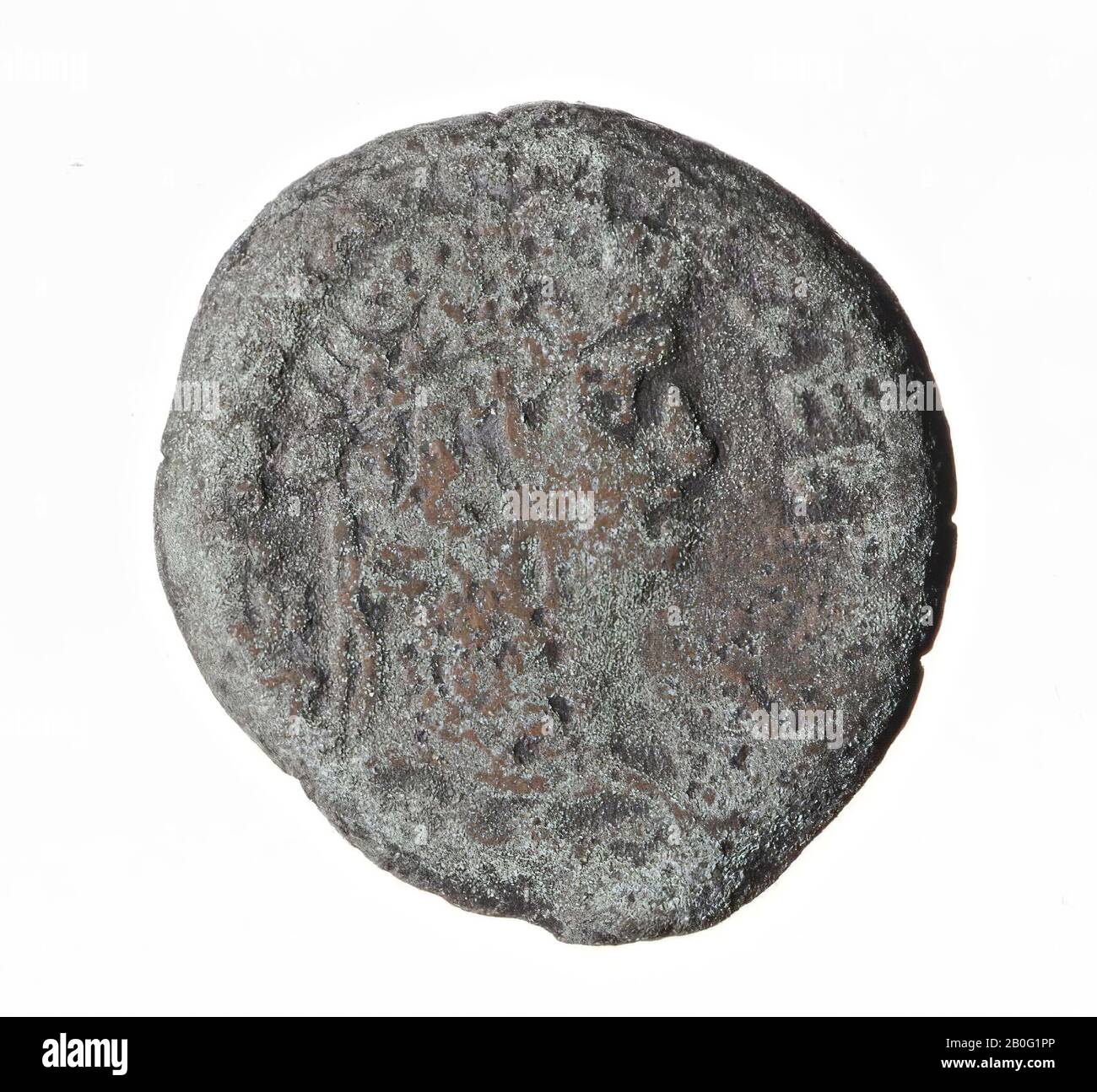 Agathodaimon snake hi-res stock photography and images - Alamy