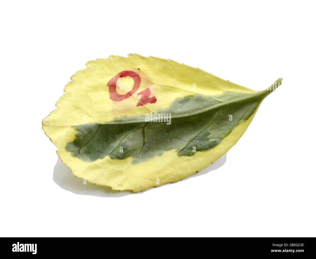 Planet earth o2 hi-res stock photography and images - Alamy