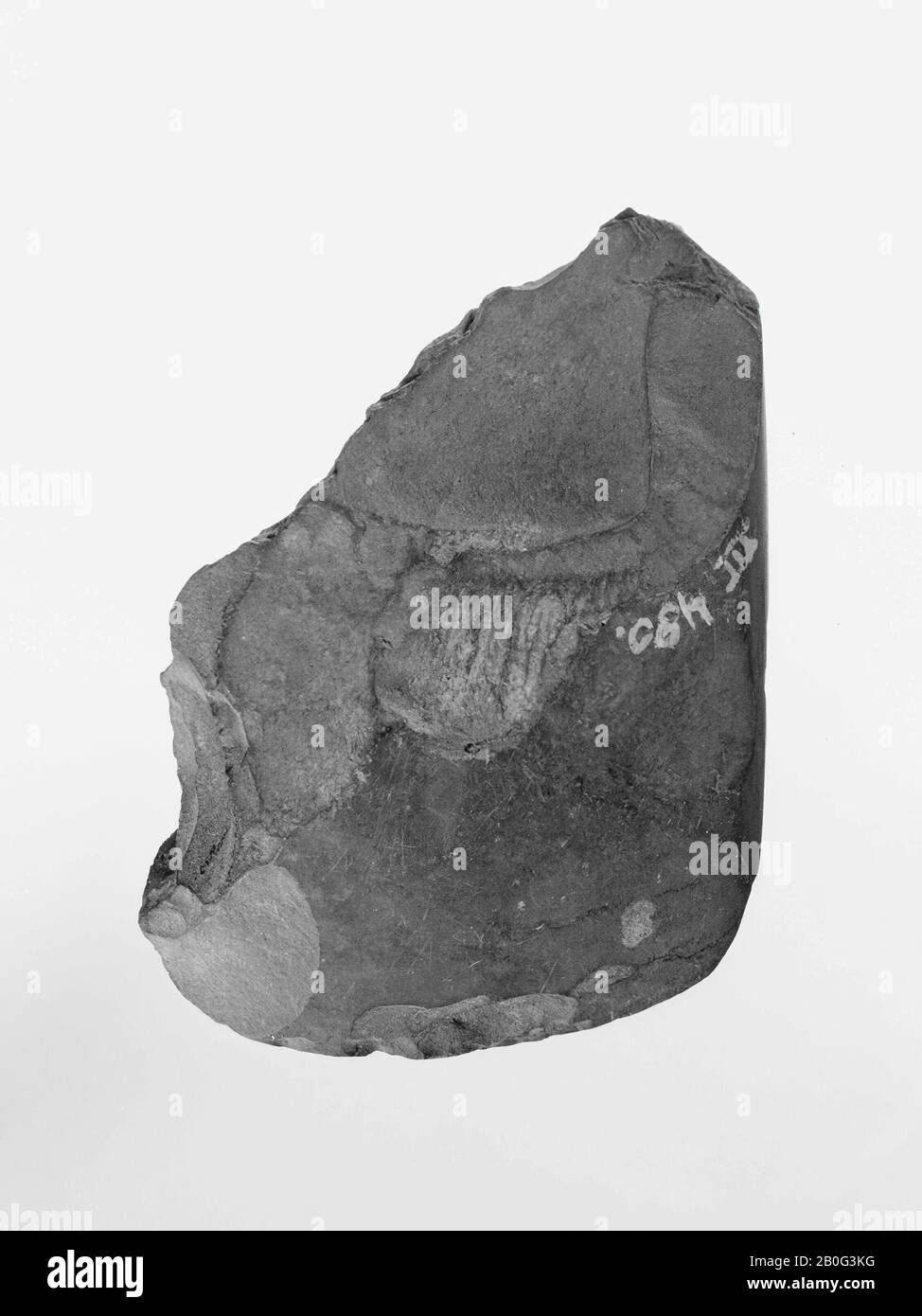 Shank fracture hi-res stock photography and images - Alamy