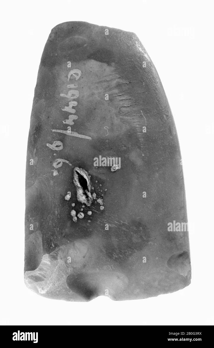 small flat ax of gray flint, ax, stone, flint, length: 6 cm, prehistory ...