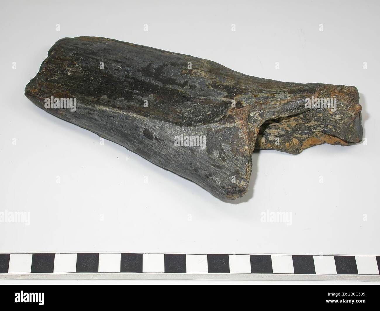 ax, organic, bone, length: 17,4 cm, prehistory, Netherlands, North Sea ...
