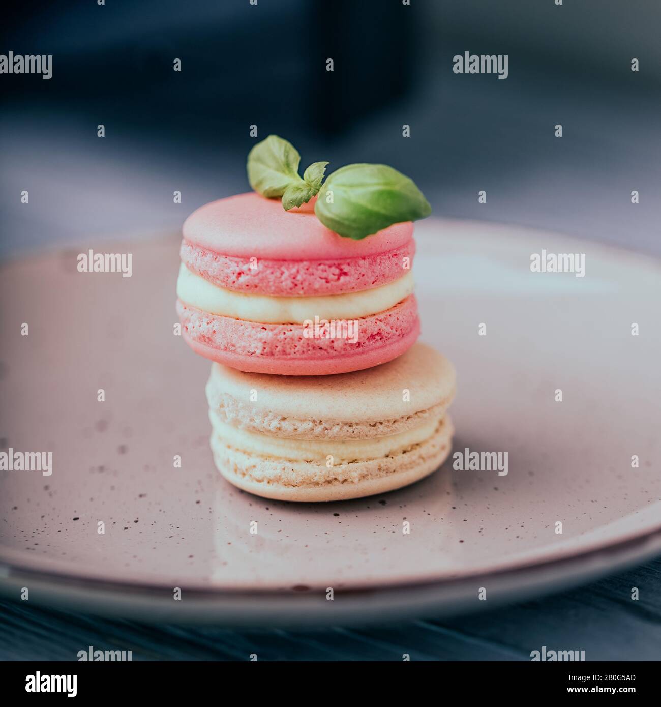 Pink raspberry and beige vanilla macaroons on a ceramic plate Stock ...