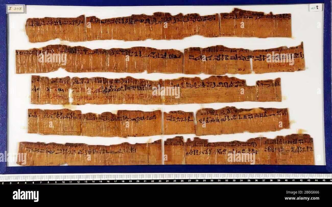 Egypt, handwriting, hieratic, papyrus, 4 x 40 cm, largest fragment ...