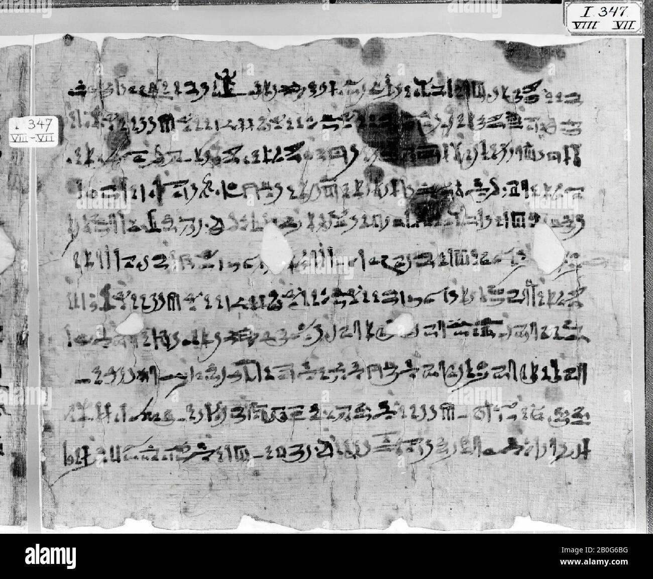 Egypt, handwriting, hieratic, papyrus, 15.7 x 37.5 cm, New Empire, 18th ...