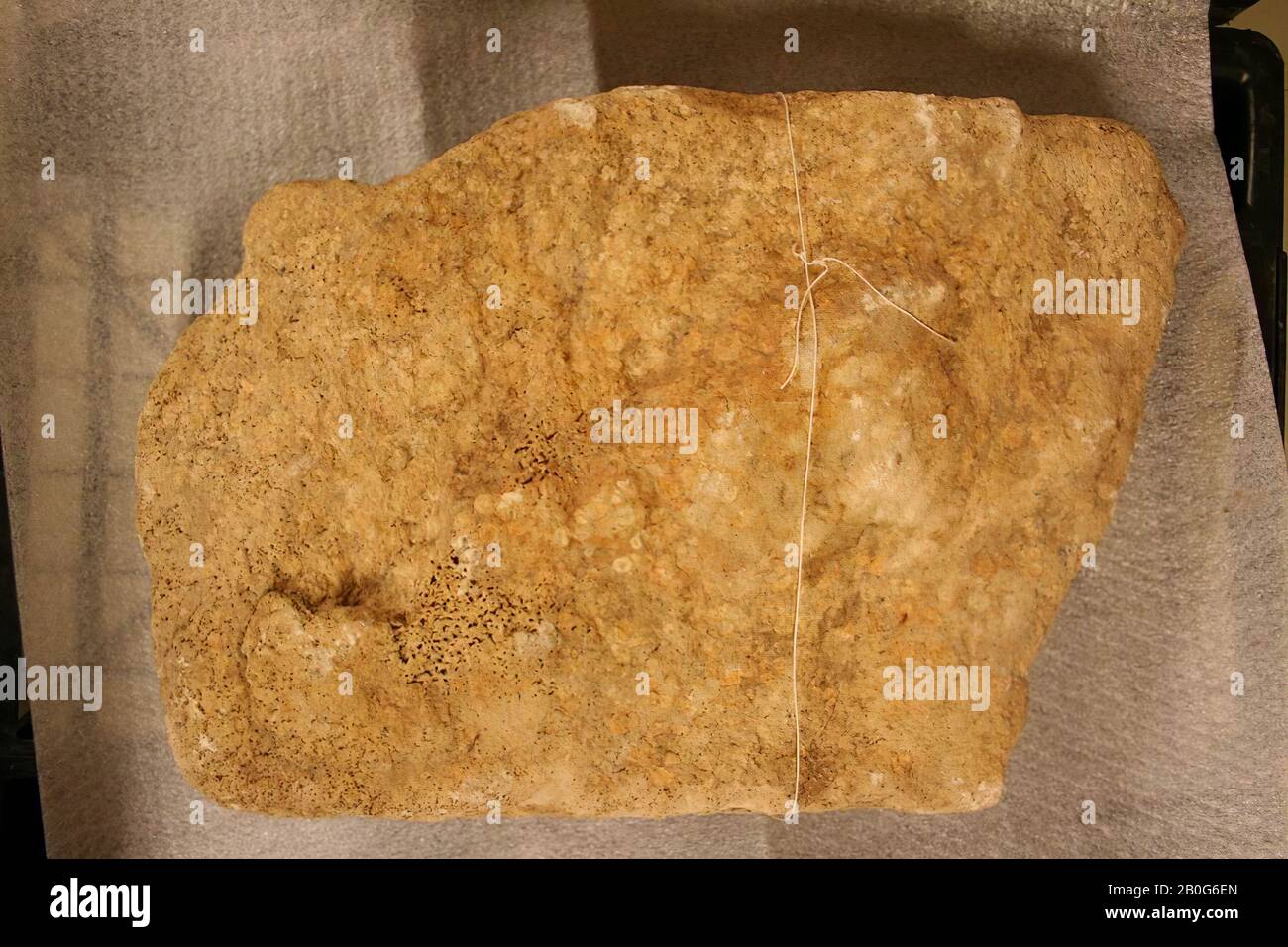 55 x 37 x 15 5 cm hi-res stock photography and images - Alamy