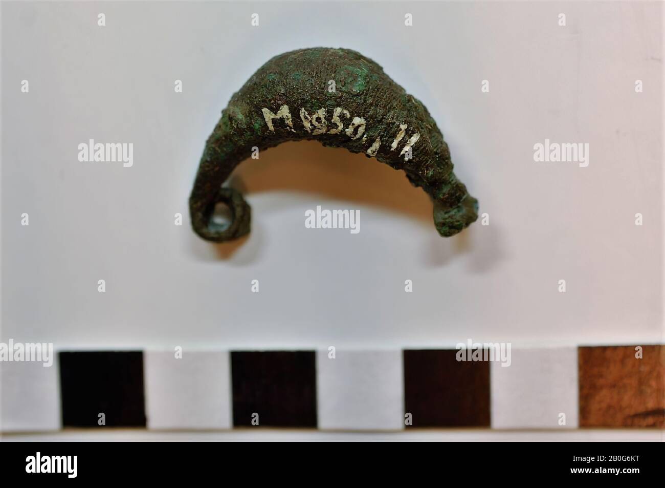 bronze leech fibula, smoothly ribbed. Needle missing, fibula, leech ...