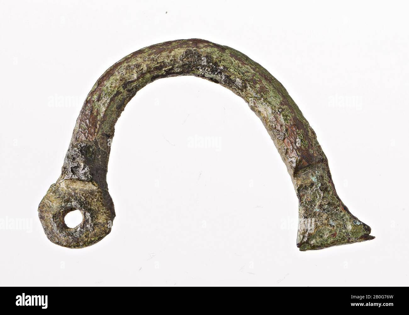 Hinged fibula hi-res stock photography and images - Alamy