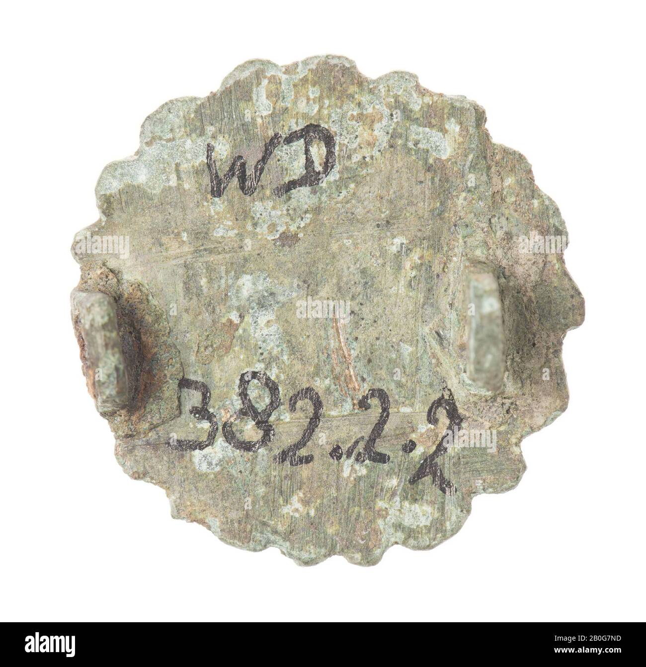 Enamel fibula hi-res stock photography and images - Alamy