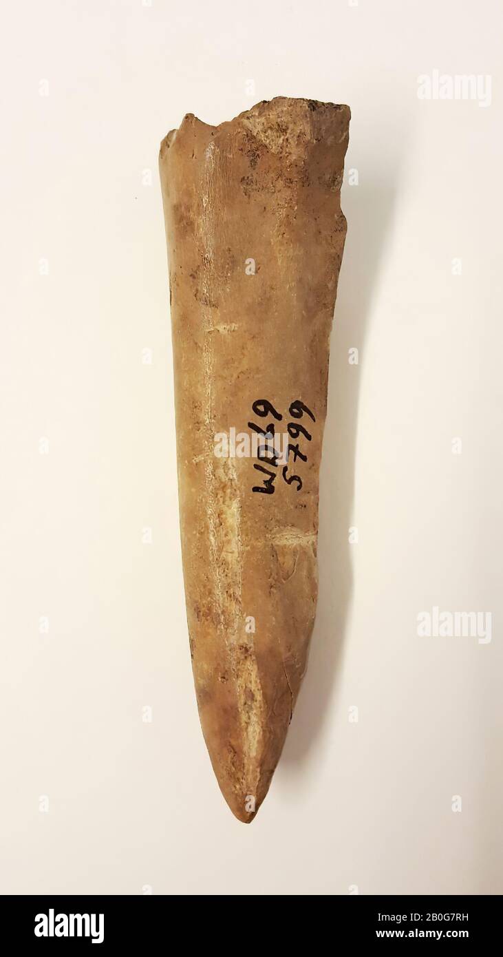 Awl and bone hi-res stock photography and images - Alamy