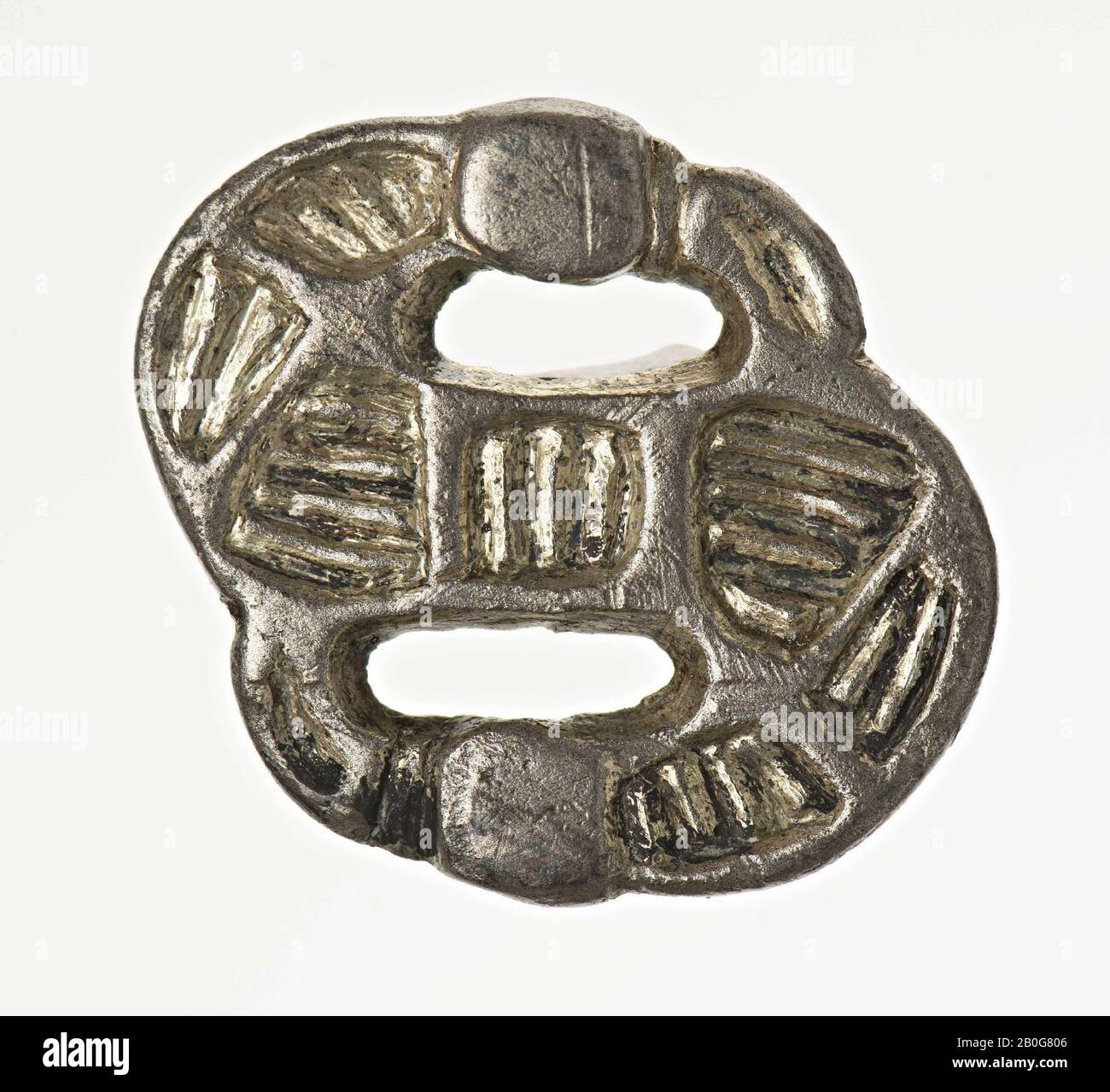 S shaped fibula hi-res stock photography and images - Alamy