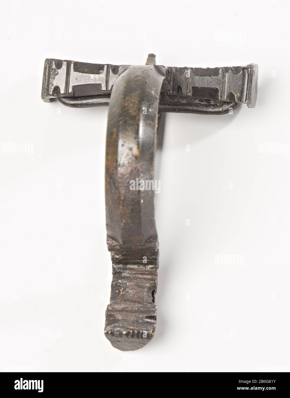 Supporting arm fibula de geer hi-res stock photography and images - Alamy