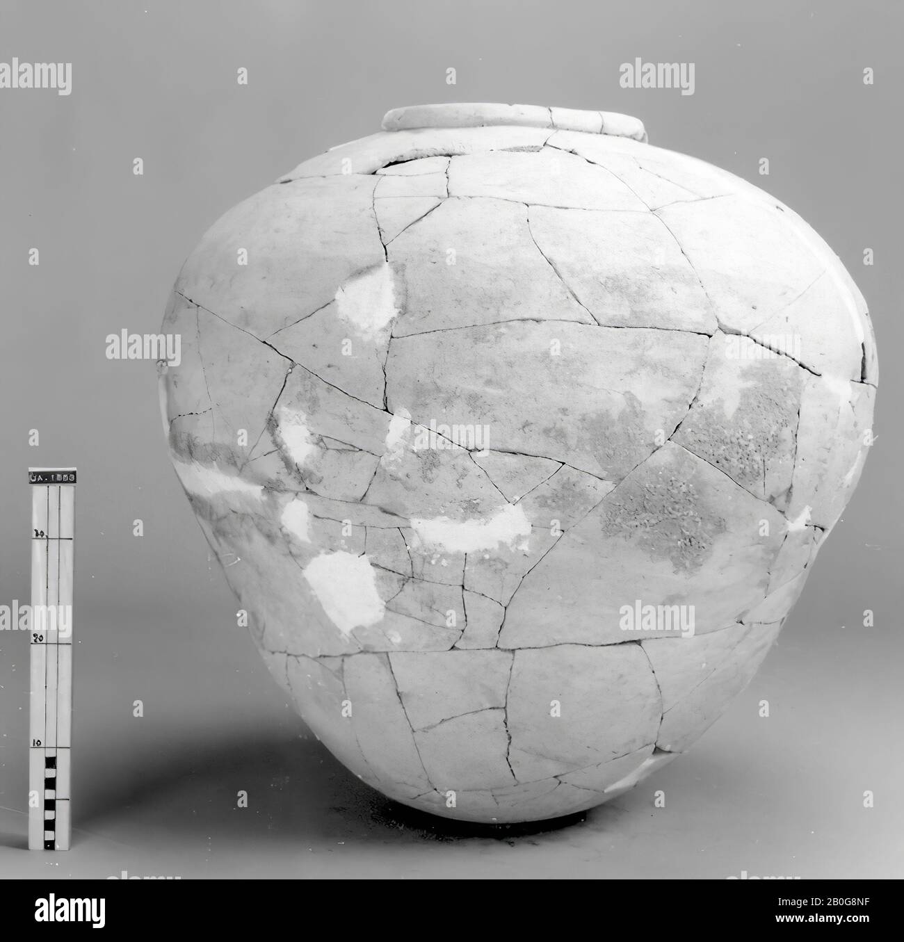 Netpull hi-res stock photography and images - Alamy