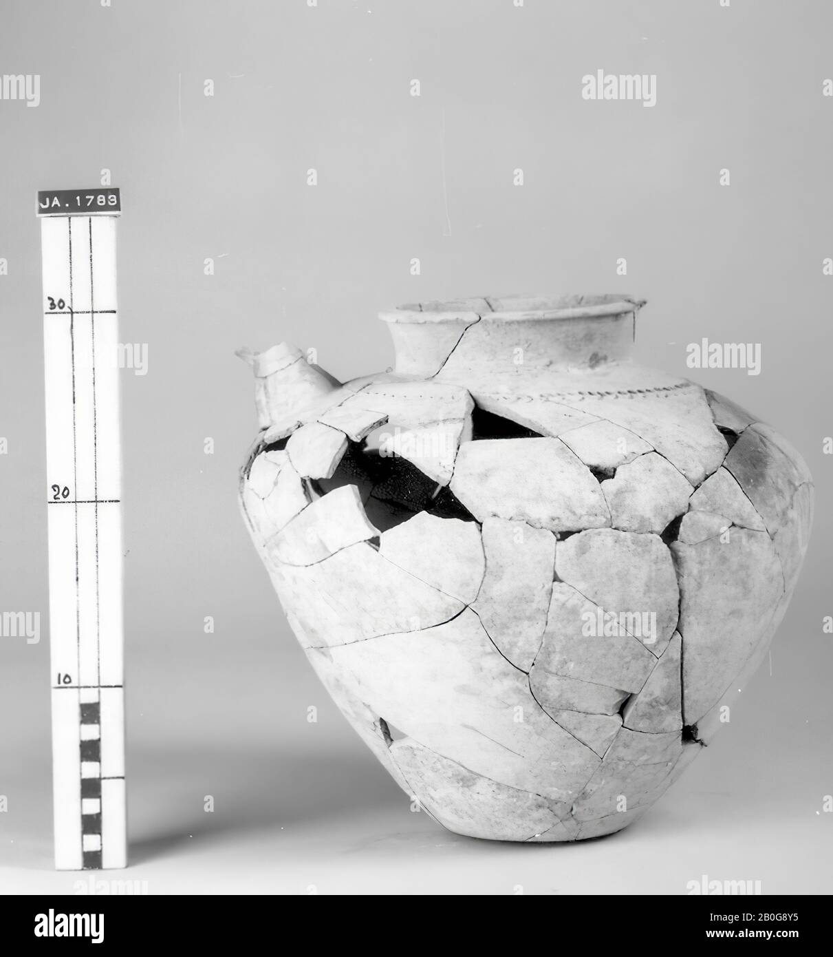 Type: 27, medium-sized earthenware, reserved slip, decoration of fish ...