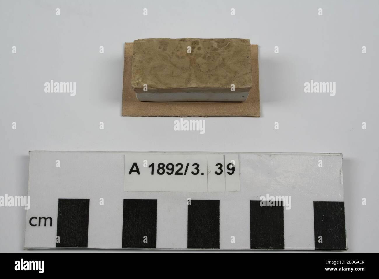 casting, cylinder seal, sulfur, plaster, 1.7 x 3.8 x 1.3 cm, cardboard ...