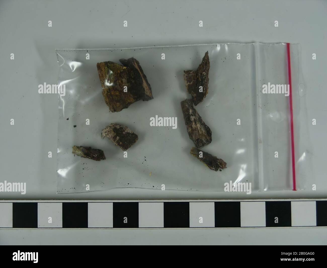 6 burnt bone fragments hi-res stock photography and images - Alamy