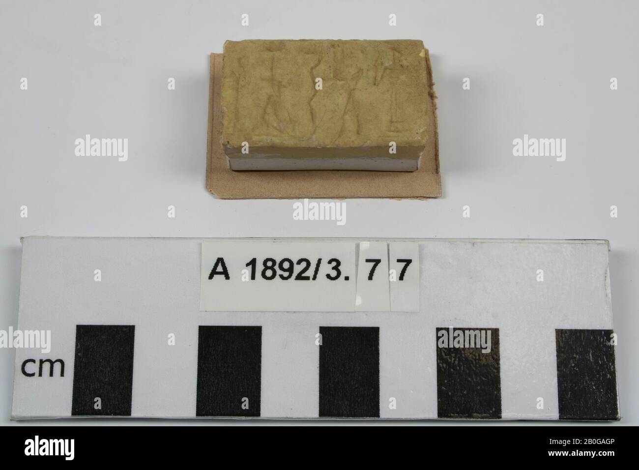 casting, cylinder seal, sulfur, plaster, 2 x 3.5 x 1.3 cm, cardboard: 2 ...