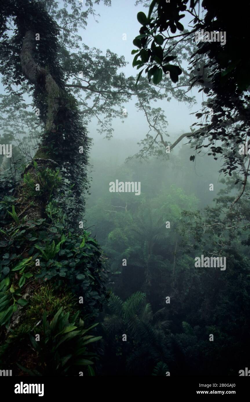 Mist rising after rain hi-res stock photography and images - Alamy