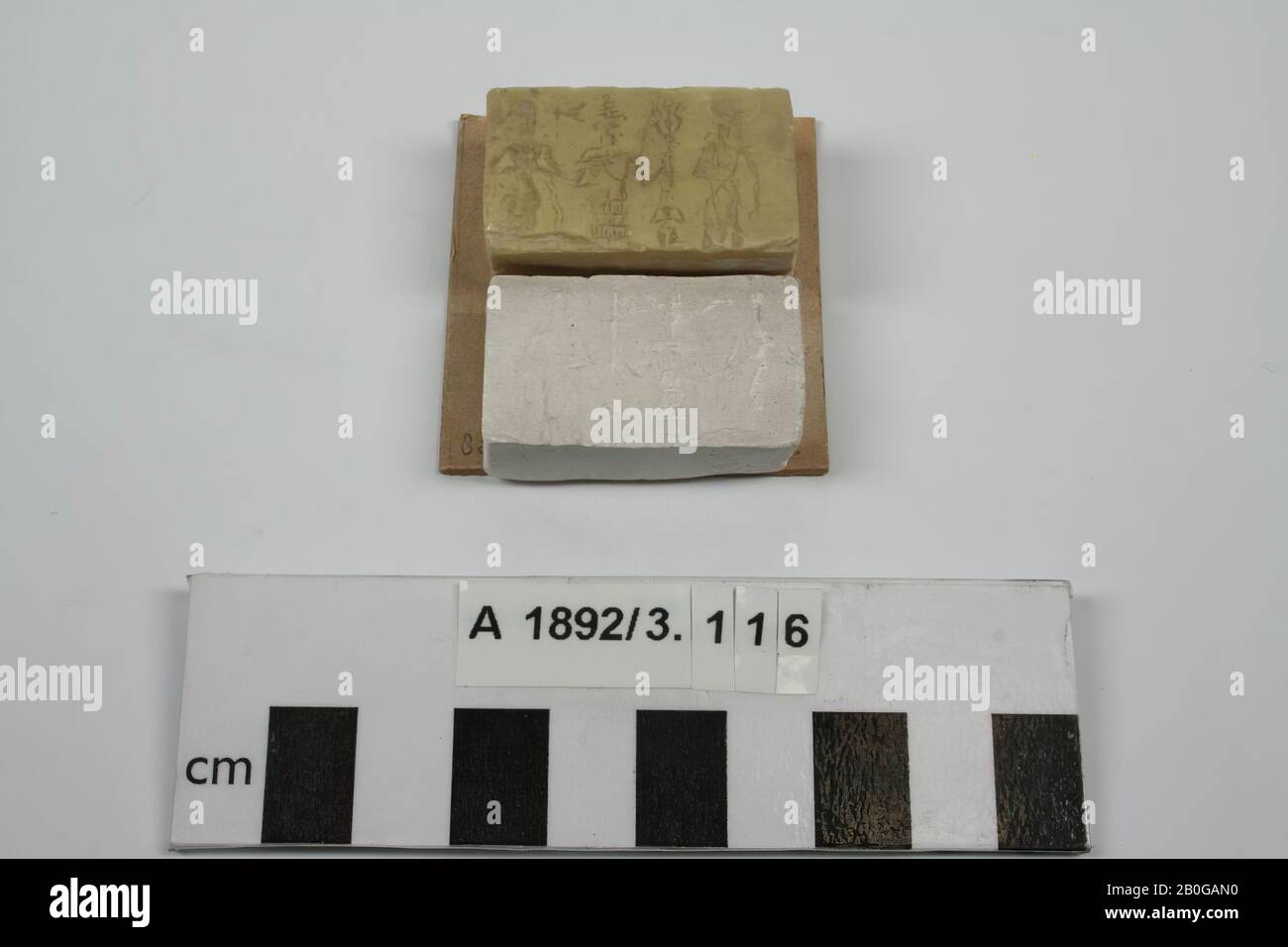 casting, impression, cylinder seal, sulfur, gypsum, 2,3 x 3,7 x 2,2 cm ...