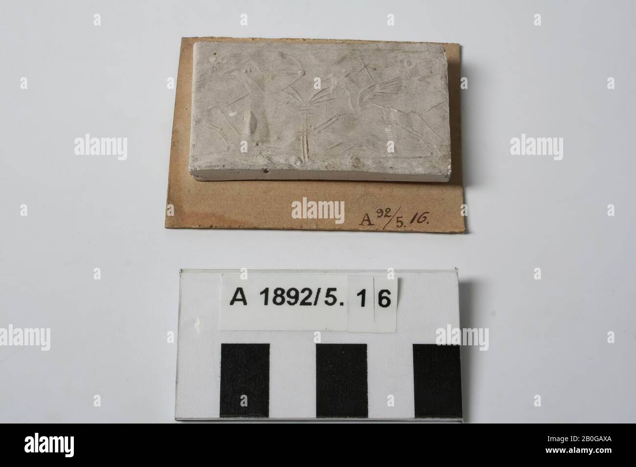 print, cylinder seal, plaster, 3.3 x 5.8 x 0.6 cm, cardboard: 4.9 x 6.6 ...