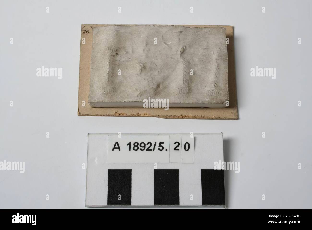 print, cylinder seal, plaster, 3.9 x 6.3 x 0.8 cm, cardboard: 4.8 x 7.5 ...