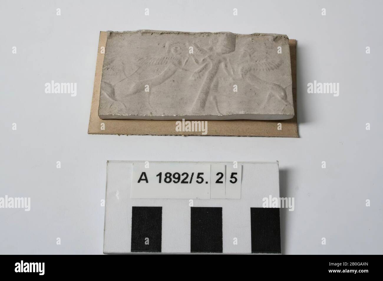 print, cylinder seal, plaster, 3,4 x 6,9 x 0,8 cm, cardboard: 4,3 x 7,5 ...