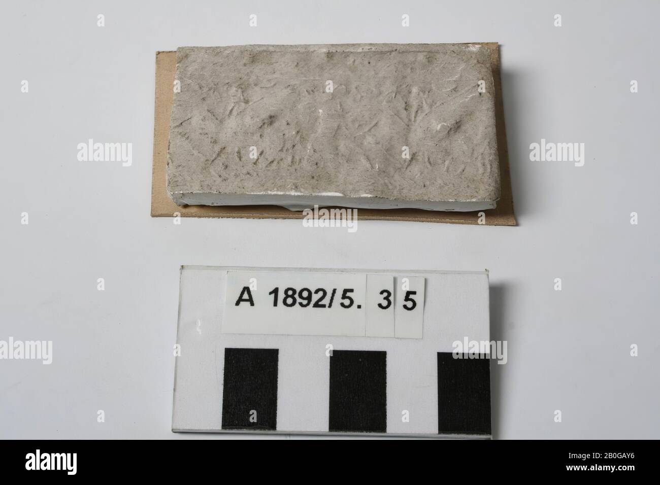 print, cylinder seal, plaster, 3.5 x 6.5 x 0.6 cm, cardboard: 4.2 x 7.3 ...